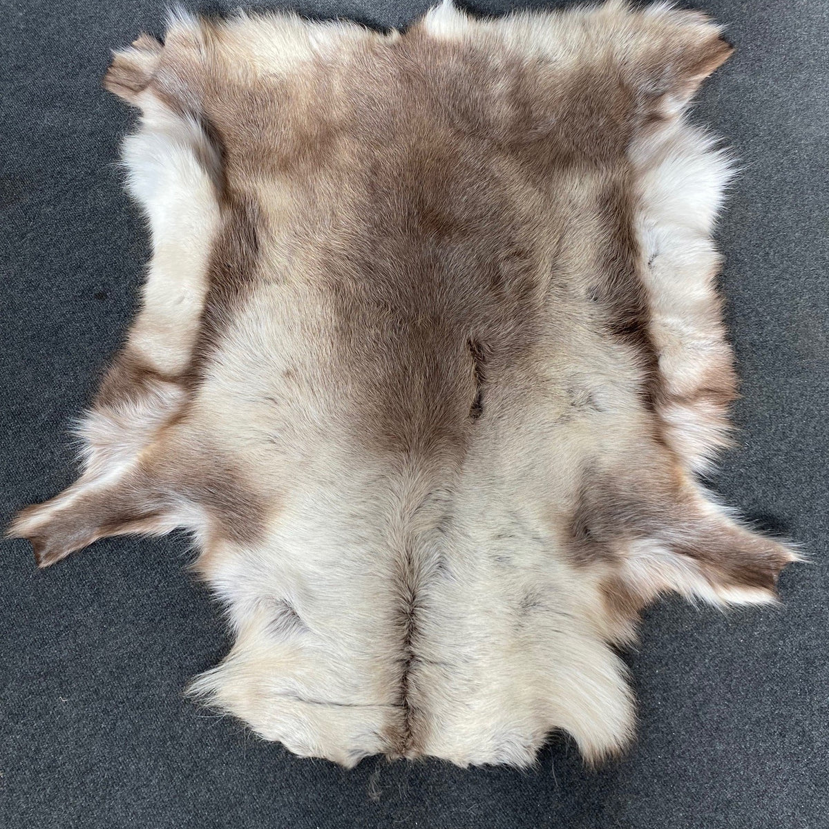 Reindeer Skin – Arctic Outdoors